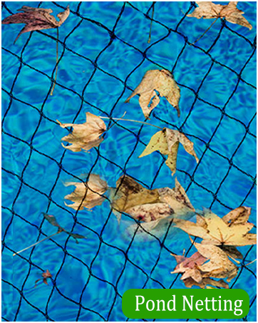 Amazon.com : Chicken Netting - 50x 100ft Garden Netting with 1" Square Mesh as Poultry Netting ...