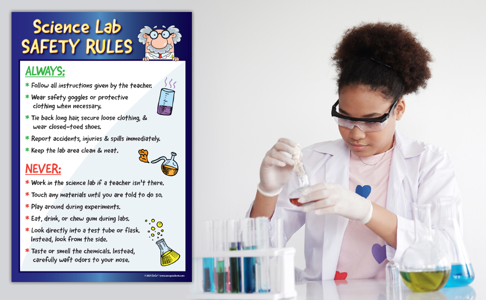 ZOCO - Science Lab Safety Rules Poster (12x18, Laminated) - Kids ...