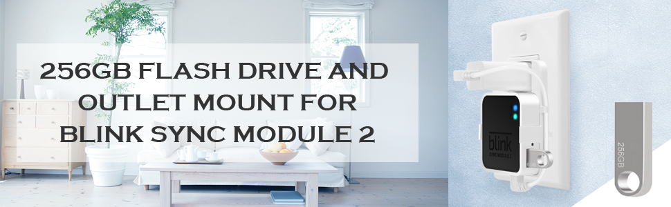 Amazon.com: 256GB USB Flash Drive for Local Video Storage with Outlet ...