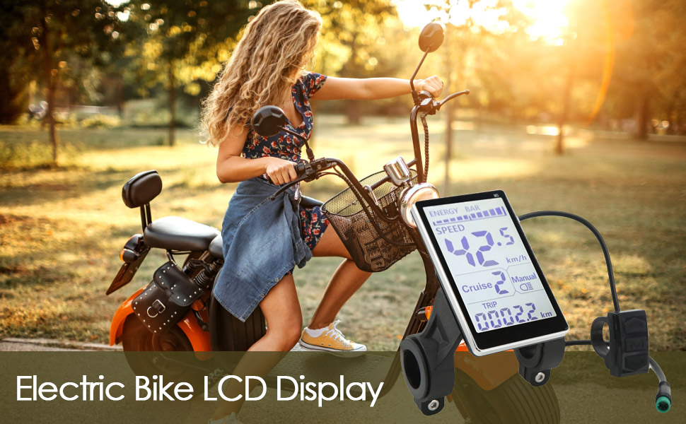 Electric Bike LCD Display, 24V 36V 48V 60V E Bike Display Meter Control ...