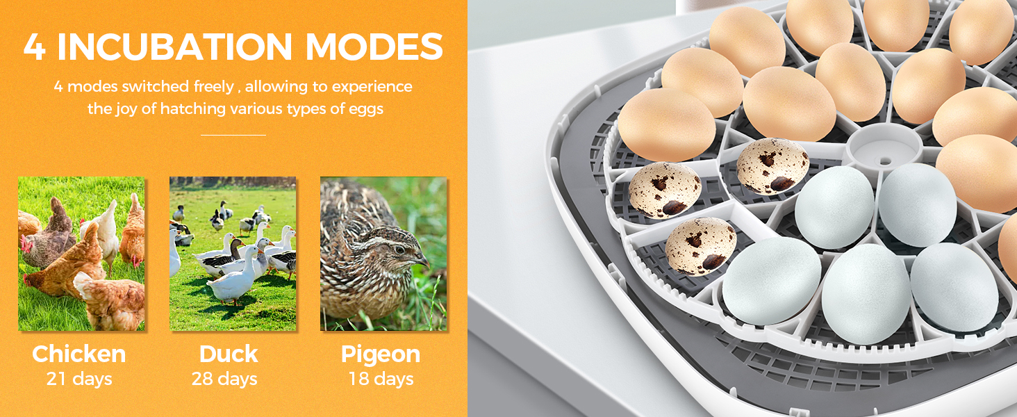 Amazon.com: Sailnovo 24 Eggs Incubators for Chicken Eggs with 4 Modes, 360° View Egg Incubator ...