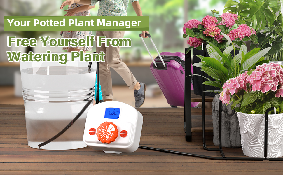Amazon.com : Yangcerey Automatic Watering System for Potted Plants ...