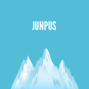 Amazon.com: JP-DX1-JunPus Nano Diamond Thermal Grease 16W/m-k- Overclocking Thermal Compound ...