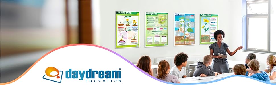 Amazon.com: Daydream Education Plants Classroom Posters - Set of 4 ...