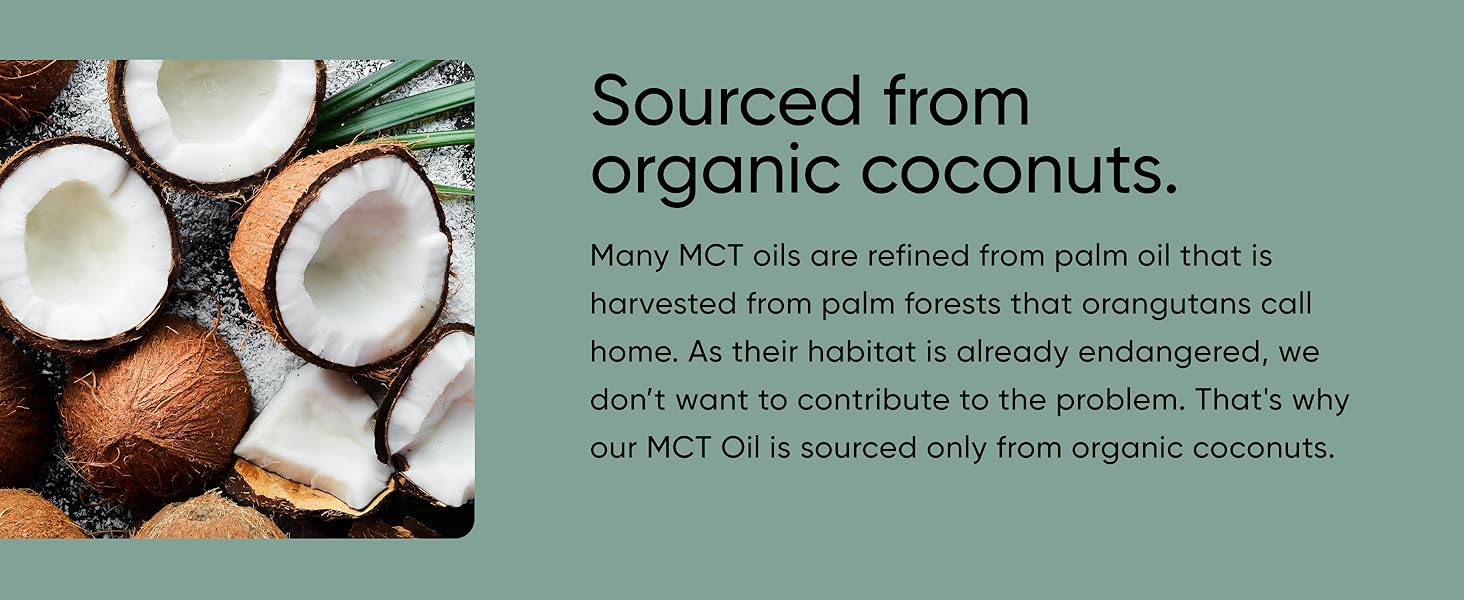 Amazon.com: Sports Research Organic MCT Oil Powder - Keto & Vegan MCTs C8, C10 from Coconuts ...