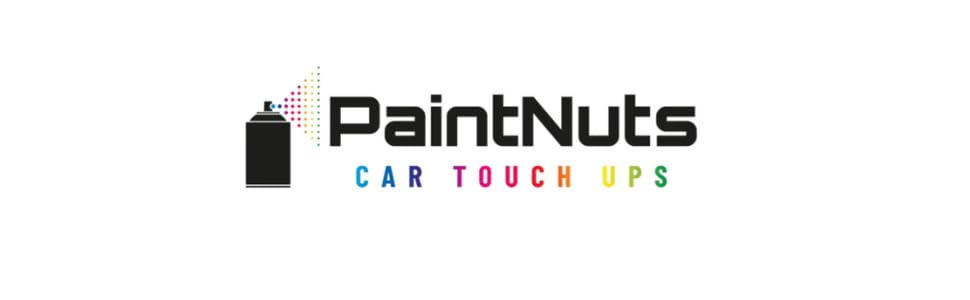 Paintnuts Colour Matched Car Touch Up Paint Pen By Registration : Amazon.co.uk: Automotive