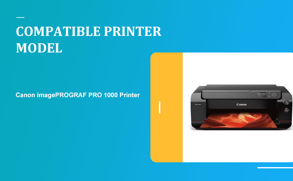 Amazon.com: PFI-1000 12Color Pack Ink Cartridge Replacement for Canon imagePROGRAF PRO-1000 ...