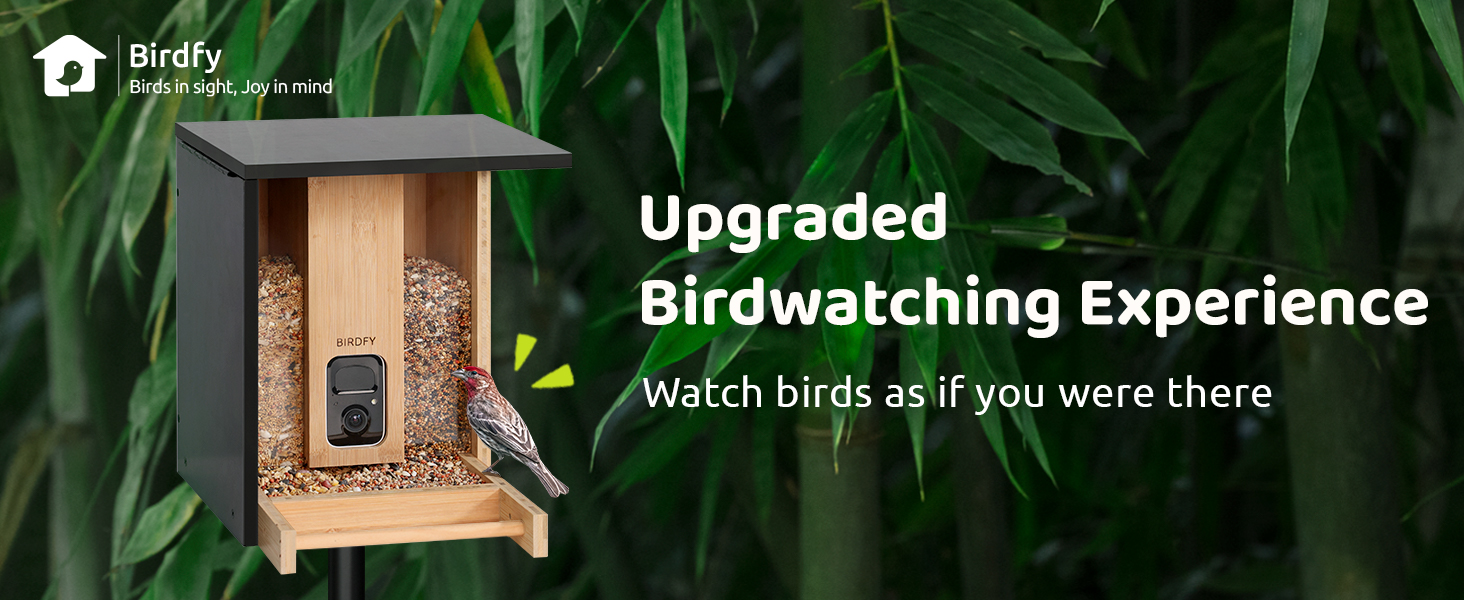 Amazon.com : NETVUE Birdfy® Upgraded Smart Bird Feeder Camera Solar Powered, Auto Capture Birds ...