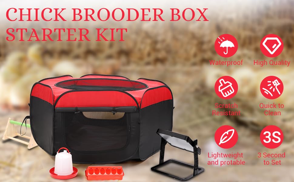 Amazon.com: Brooder Box for Chicks - Complete Chicken Brooder Kit with Heating Plate, Pop-Up ...
