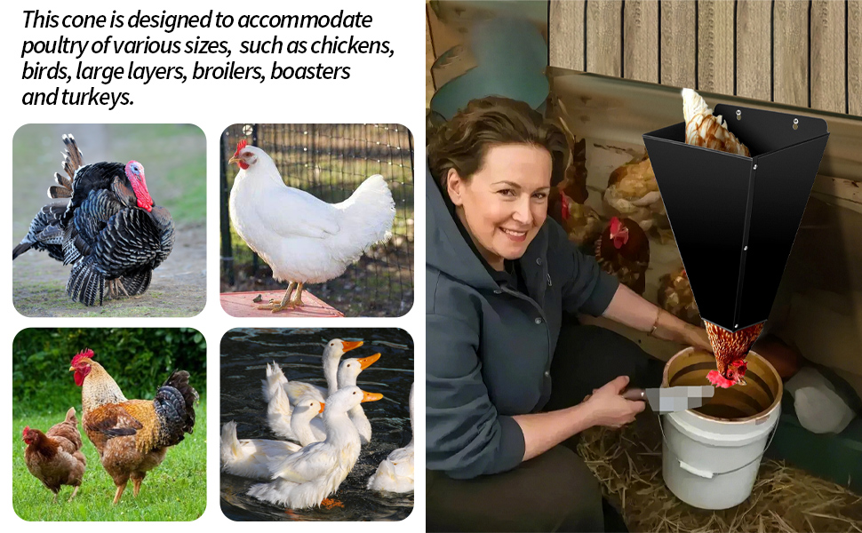 Amazon.com : Kisotay Medium Size Chicken Cone, Heavy-Duty Steel Poultry Restraining Cones for ...