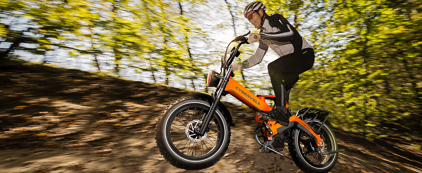 Amazon.com : Electric Bike for Adults,1000W(2000W Peak) Folding Ebike, 48V 25AH Removable ...