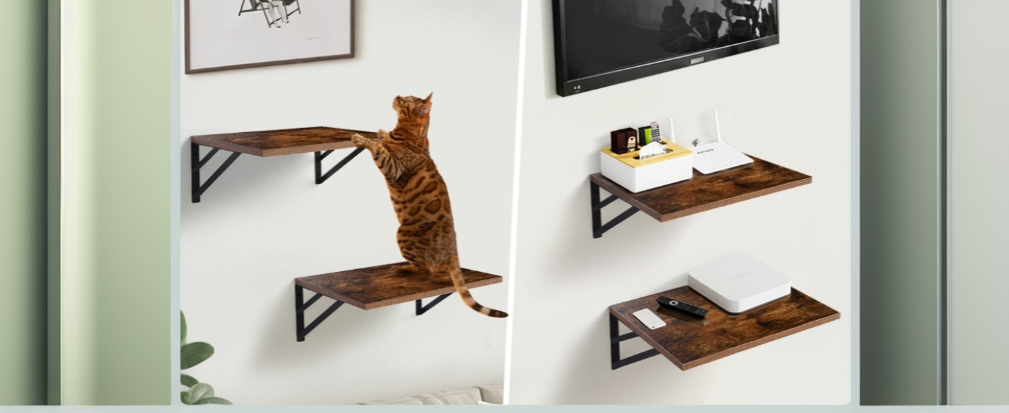 Amazon.com: Tectocker-DOU 2 Pc Deep Floating Shelves ; 12 Inch Deep Wall Mounted Hanging Shelves ...