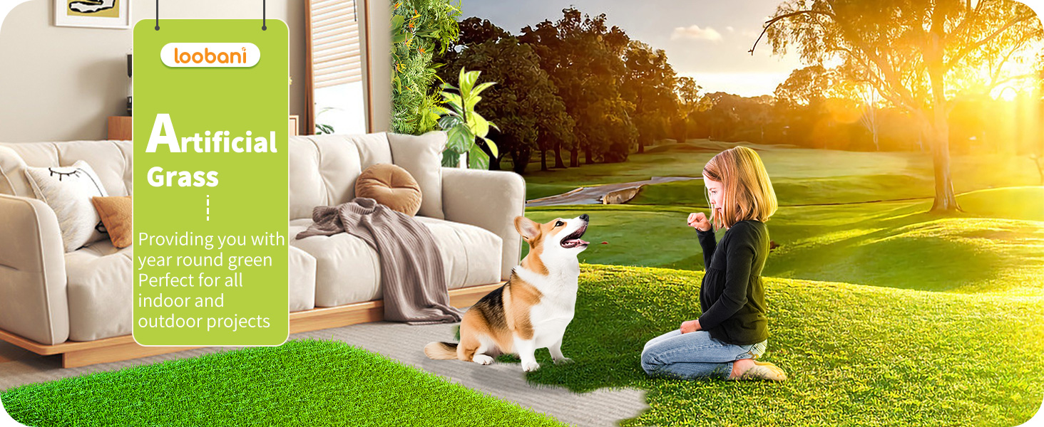 Amazon.com: LOOBANI Realistic Artificial Grass Rug Indoor Outdoor, Dog Grass Mat with Drainage ...