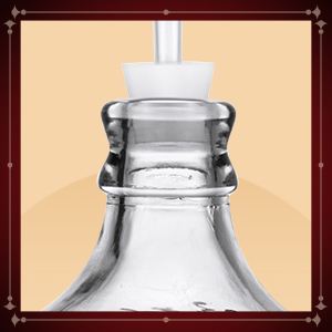 Amazon.com: Suzile 2 Pieces 5 Gallon Glass Carboy 5 Gallon Glass Water ...