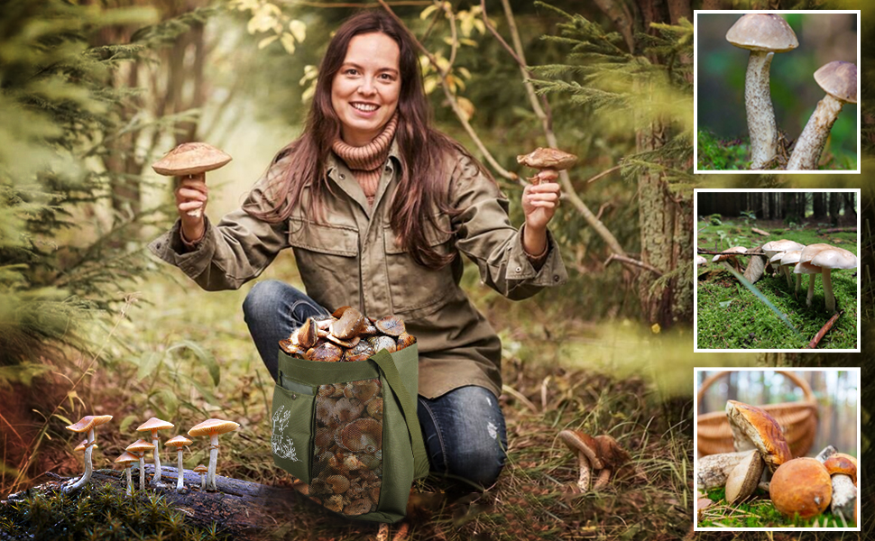 Amazon.com: Mushroom Foraging Bag, Morel Foraging Kit and Knife, Mushroom Hunting Bag and ...