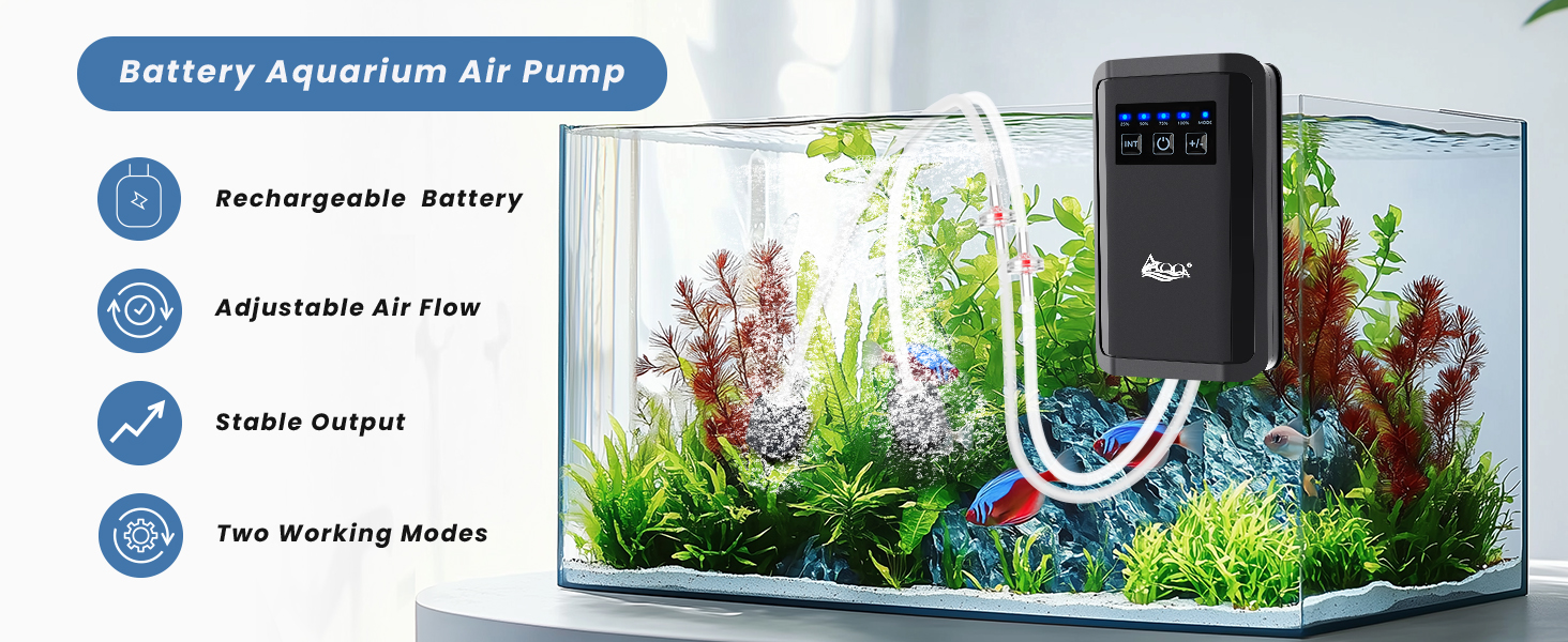 Amazon.com : AQQA Aquarium Air Pump Quiet Fish Tank Aerator Pump Powerful Rechargeable Fish ...