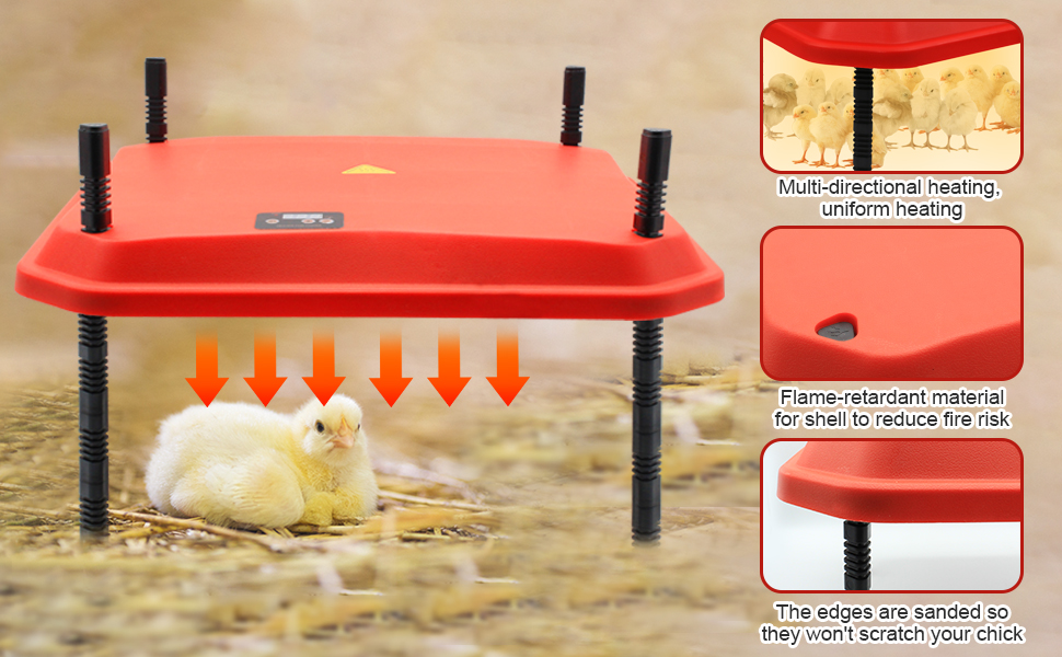 Amazon.com: Daordaer Chicken Brooder Heating Plate for Chicks 12" x 12",LED Display Temperature ...