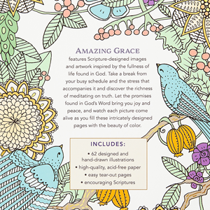 Amazon.com: Amazing Grace Coloring Book (Majestic Expressions ...