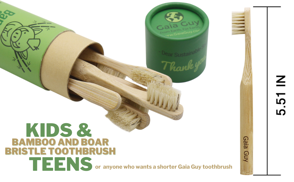 Amazon.com : Gaia Guy Natural Bristle Bamboo Toothbrush for Kids (NO ...