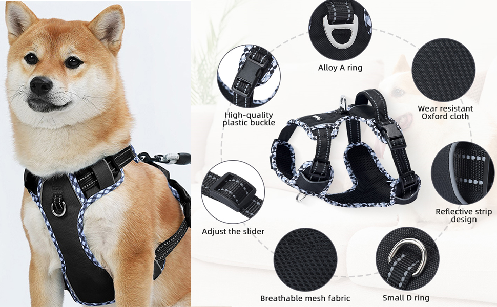 Amazon.com : Petank Dog Harness Small Sized Dog, Puppy Harness Small Size Dog for Dog Training ...