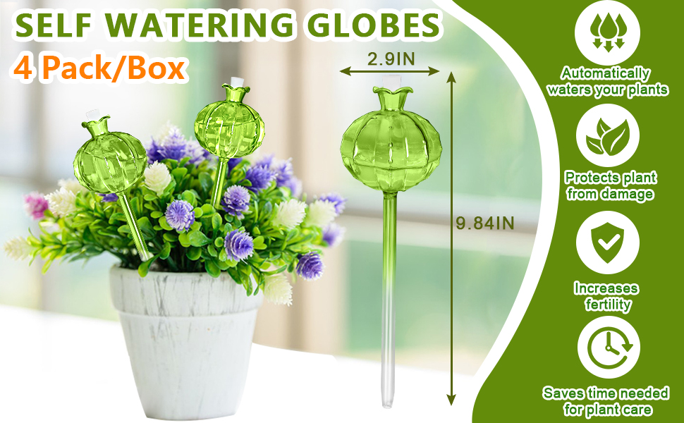Amazon.com: HYH Plant Watering Globes 4 Pack Self Watering Planter Spikes Insert for Indoor ...