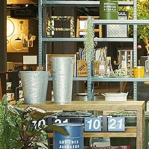 Amazon | 東谷(Azumaya-kk) 傘立て シルバー 商品サイズ:φ21×H41 LFS-427SV | 東谷(Azumaya-kk) | 傘立て