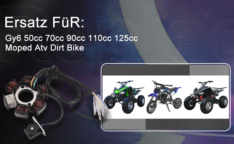 GOOFIT 6-Coil Magneto Stator Ignition Generator Ersatz für GY6 50cc 70cc 90cc 110cc 125cc Moped ...