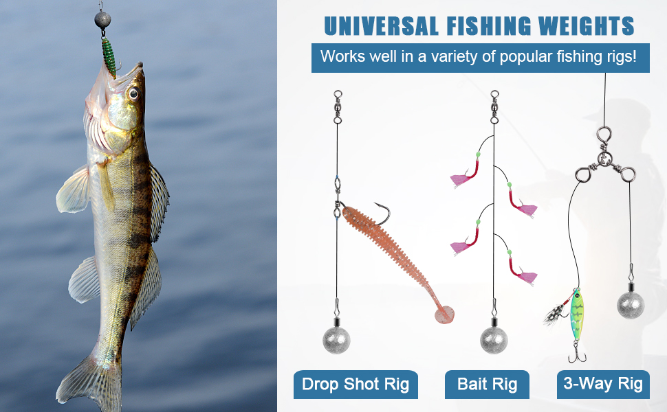 Amazon.com : Drop Shot Weights Kit, 52pcs Round Fishing Weights Sinkers Bass Casting Drop Shot ...