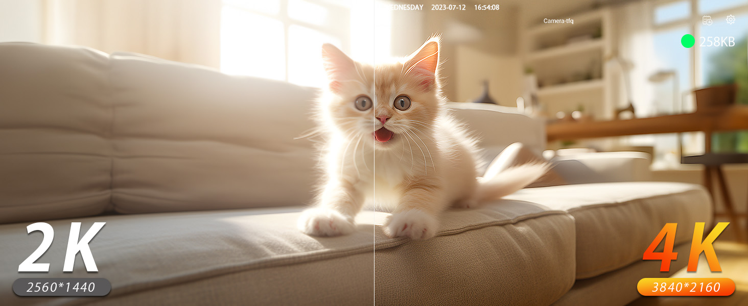 Amazon.co.jp: 【4K 800万最高画素・2.4と5GhzWiFi対応・自動追尾】ペットカメラ 見守りカメラ 室内防犯カメラ 留守番 360°監視 24時間録画 スマホで見れる ...