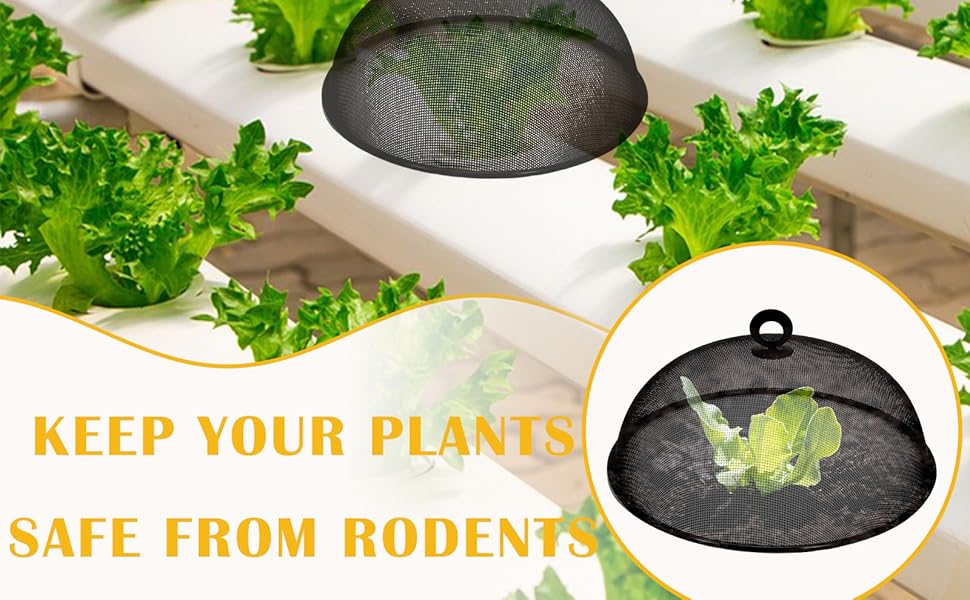 Amazon.com: Nexboraque 8 Pack Metal Mesh Food Covers for Outside, 10.75 Inch Reusable Food Nets ...