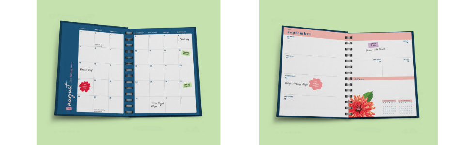 2022 She Believed She Could So She F*cking Did Planner: 17-Month Weekly ...