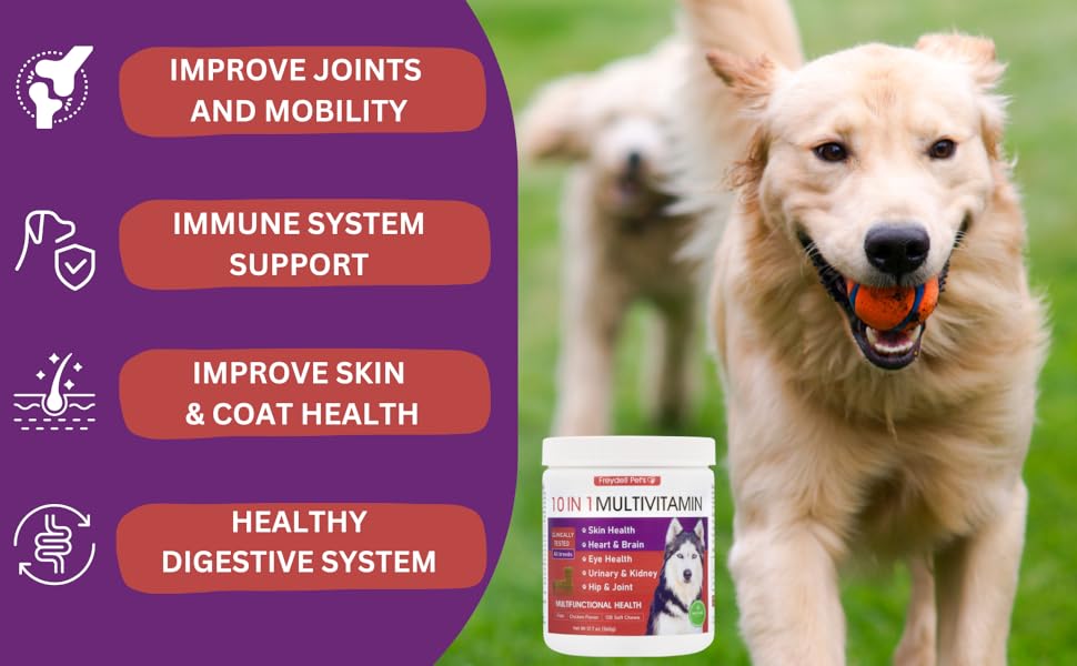Amazon.com : Freydell Pets Multivitamin Dog Supplement: Glucosamine Chondroitin, Probiotics ...