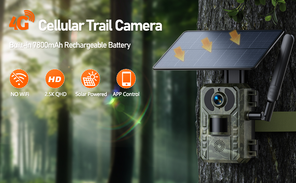 Amazon.com: Cellular Trail Cameras with Live Streaming, 4G LTE Wireless ...