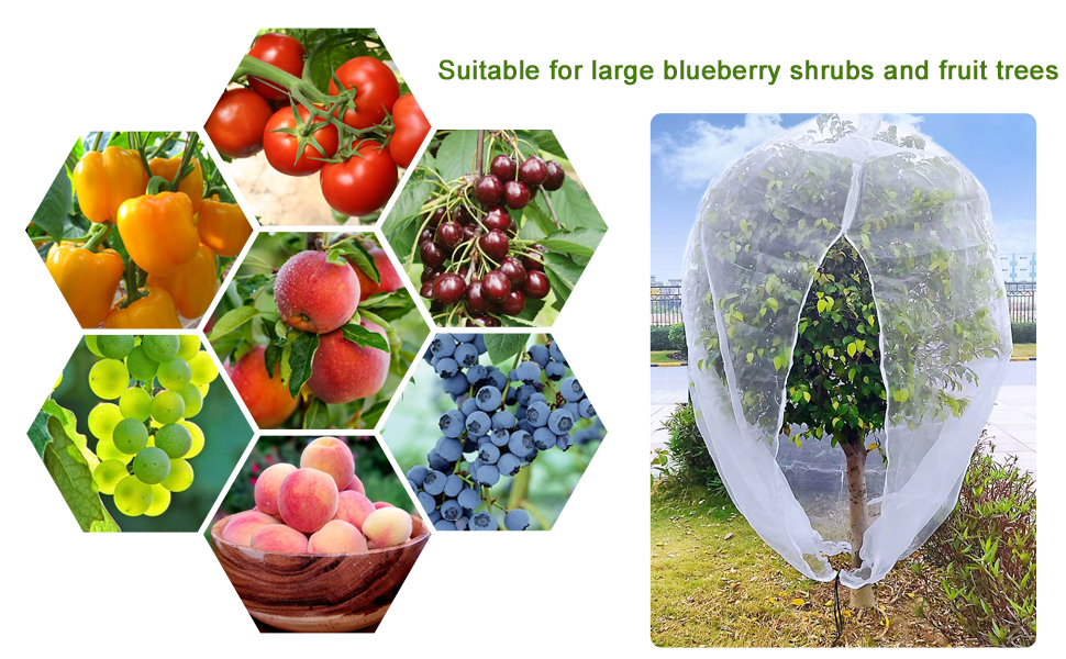 Amazon.com : 8.2x8.2ft Large Fruit Tree Netting Bags,Bird Netting for Blueberry Bushes with ...