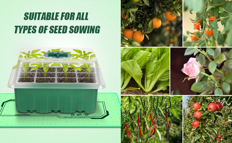 Amazon.com : YLYYCC Seed Starter Kit with Grow Light,72 Cells Seed Starter Tray with Humidity ...