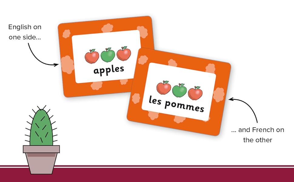 French Vocabulary Flashcards for Ages 7-9 (with Free Online Audio) (CGP ...