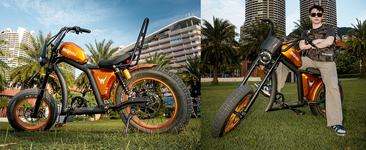 Amazon.com : BIGNIU Adult Electric Bike, E Bike with 1500W Brushless Motor 52V/27Ah Range Up to ...