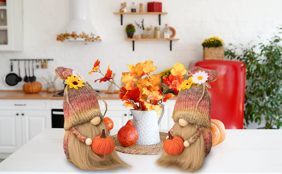 Amazon.com: Fall Gnomes Decorations for Home, 2 Pack Autumn Harvest ...