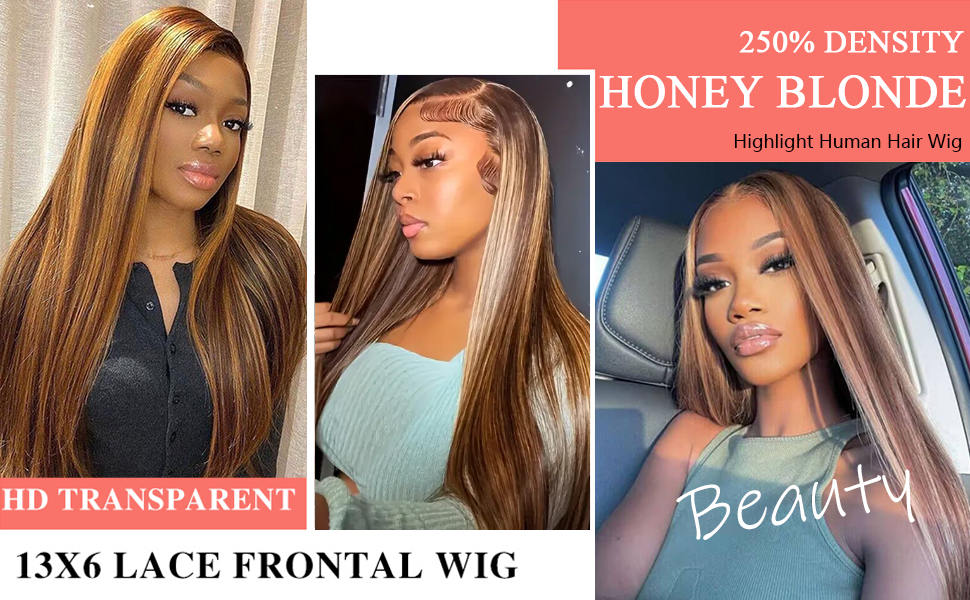 Amazon.com : Lzlefho 250% Density 13x6 Highlight Lace Front Wig Human Hair 4/27 Ombre Straight ...