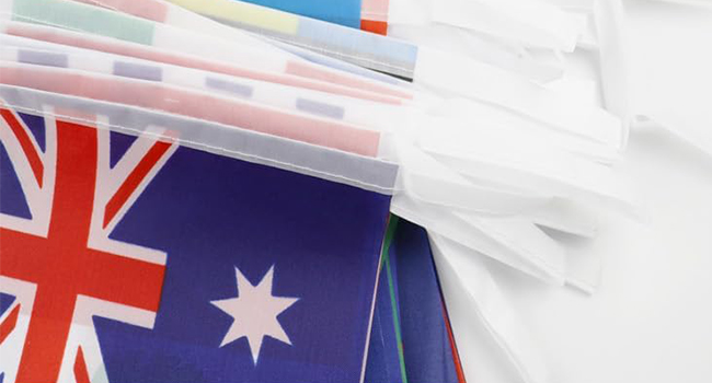 Amazon.com : 100 Countries String Flag International Bunting Banners ...