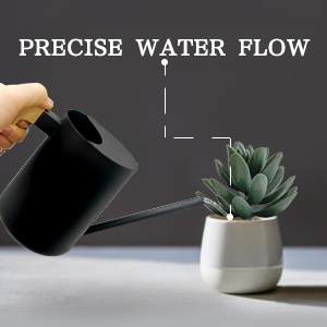 Amazon.com : kathson Watering Can for Indoor Plants, 35oz/1000ml Small Watering Can, Plant ...