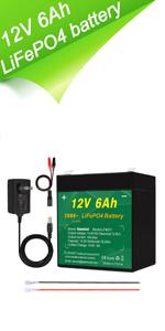 Amazon.com: Talentcell 24V 6Ah LiFePO4 Battery Pack LF8011, 25.6V 153.6Wh Deep Cycle ...