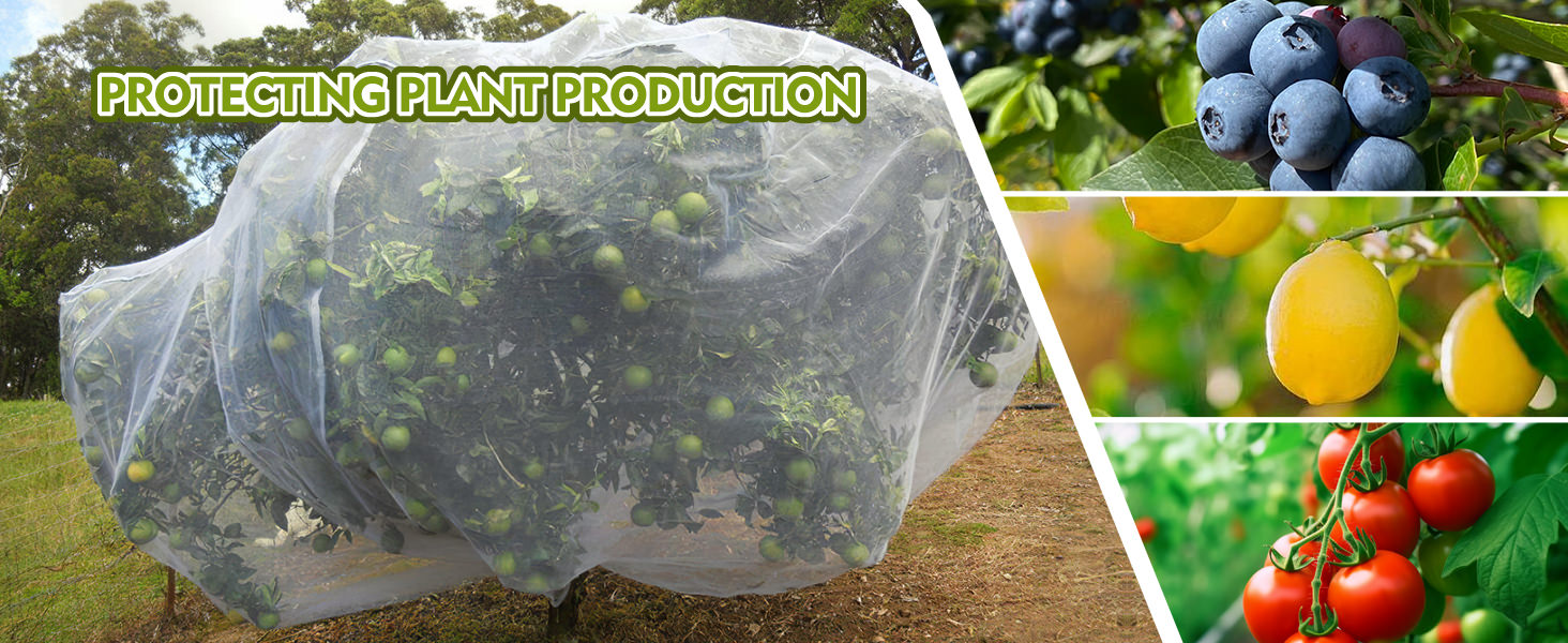 Amazon.com : 10x10Ft Large Fruit Tree Netting Cover with Zipper, Garden Netting Pest Barrier ...