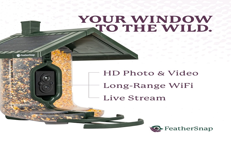 Amazon.com : Smart Bird Feeder Pole Stand – Upgraded Wide & Sturdy Metal Design for Outdoor Use ...