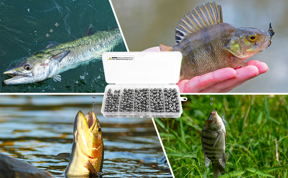 Amazon.com : OROOTL Split Shot Fishing Weights Sinkers, 170pcs Removable Split Shot Sinkers for ...