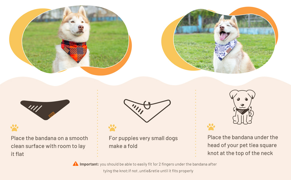 Amazon.com : Charcy Dog Bandanas 4 Pack, Fall Dog Bandana Boy Girl for Holiday Birthday ...