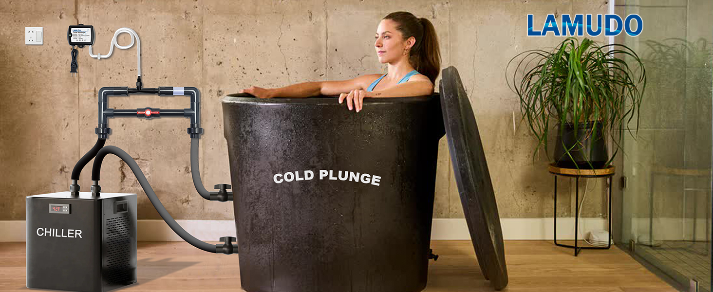 Amazon.com: Lamudo Ozone Venturi Injector Kit with SPA-124 Ozone Generator for Cold Plunge, Hot ...