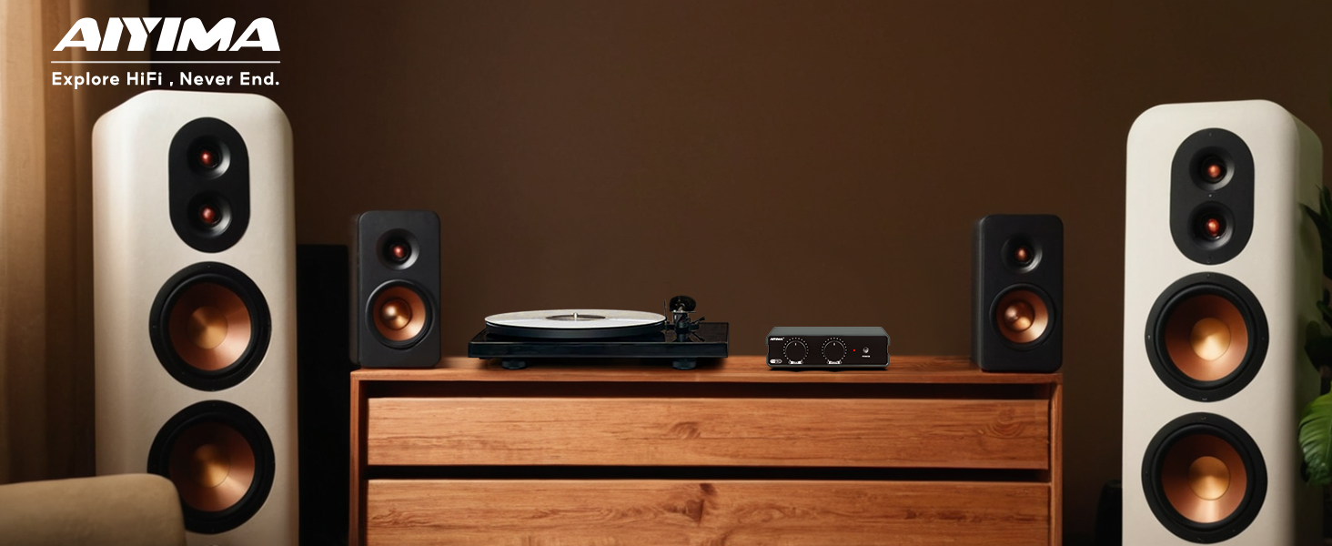 Amazon.com: AIYIMA T3 PRO MM/MC Phono Preamp RIAA Equalization for Turntable/Vinyl Record Player ...