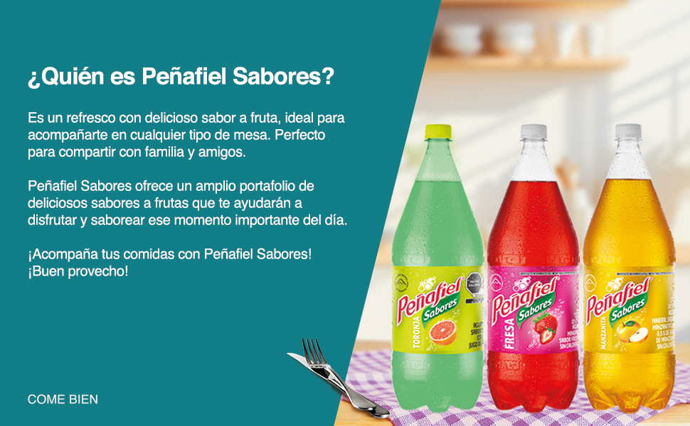 Peñafiel, Refresco Sabor Sangría 600 ml, Botella Pet (12 pack) : Amazon.com.mx: Alimentos y Bebidas
