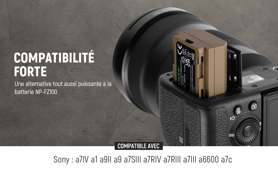 NEEWER NP-FZ100 2280mAh Batterie pour Sony A7R V A7S III A7 IV, Batterie Rechargeable avec Cable ...
